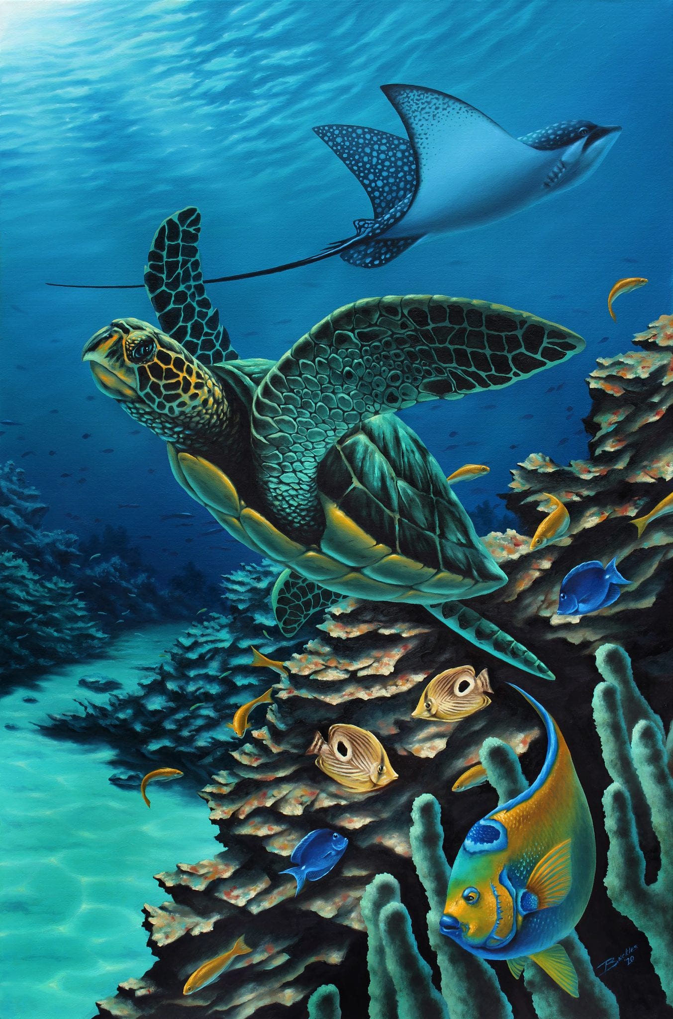 Beréskin Gallery Features Marine Life Art by Bettendorf Native | Quad ...