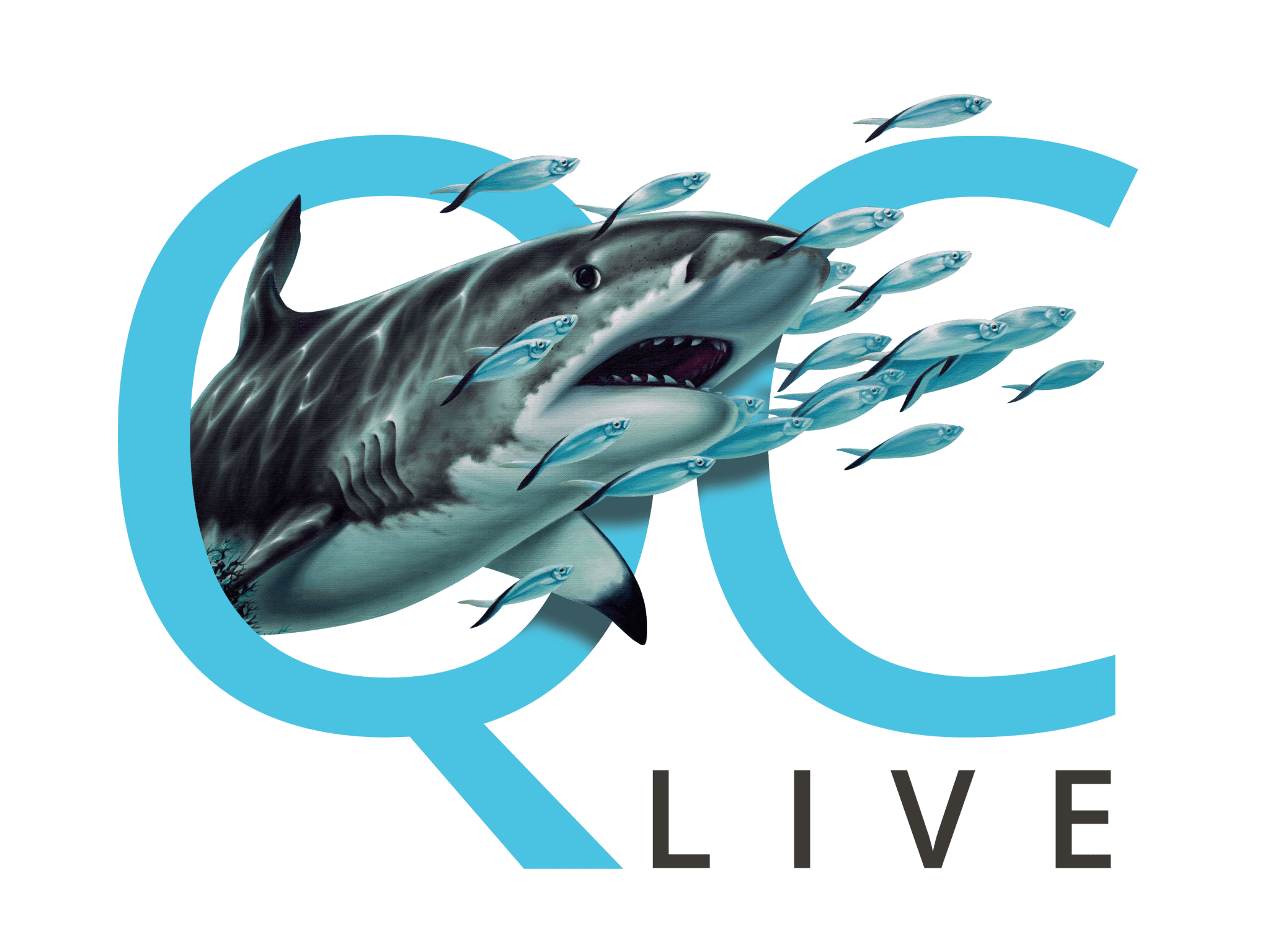 Quad City Arts Partners With KWQC to Feature Local Artists | Quad ...