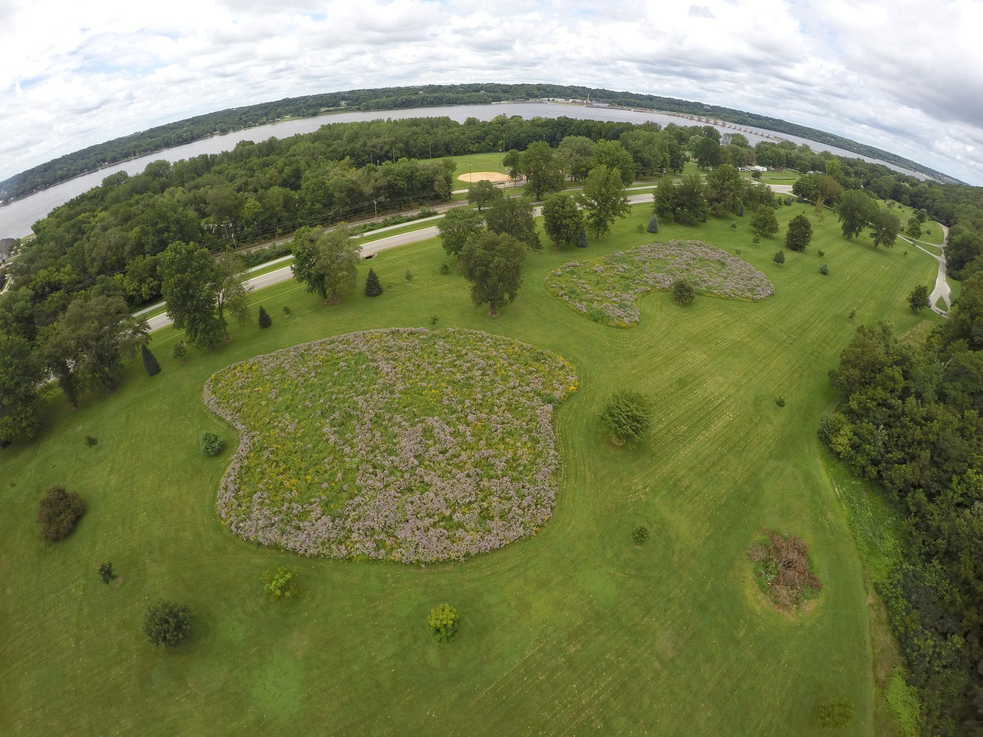 Celebrate Biodiversity At Illiniwek's BioBlitz This Weekend | Quad ...