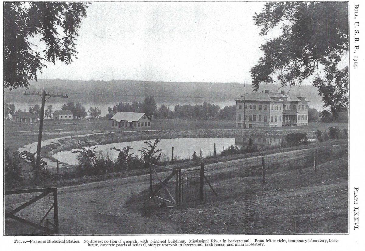 Iowa DNR Education Grant Awarded For Fairport Fish Hatchery | Quad ...