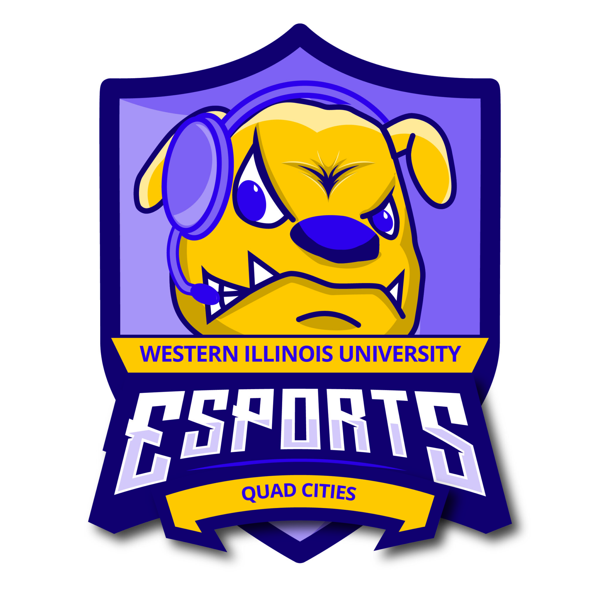 Western Illinois University Quad-Cities Begins Recruiting ESports ...